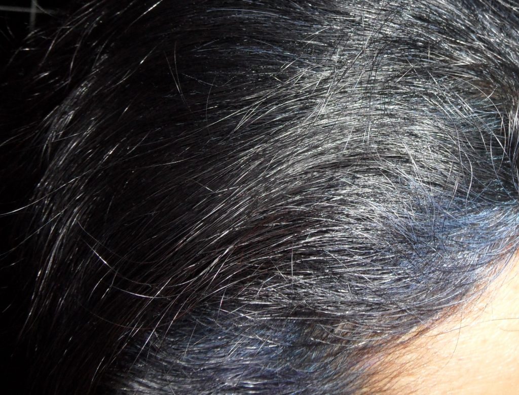 Blue Hair Streaks, Purple Hair Dye Voyage : Indigo Natural Hair Dye in ...